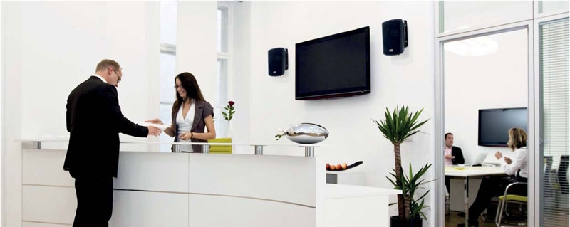 CIE AV Solutions 2N Net Speaker Wall-mounted Audio over IP Loudspeaker ...